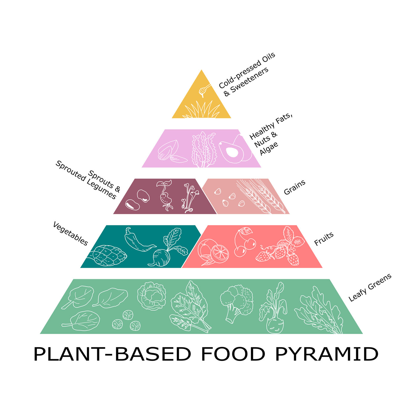 PLANT-BASED FOOD PYRAMID | KATE & TOM